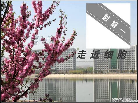 2015生物高考一轮复习必修1：第1章 走近细胞word文档在线阅读与下载无忧文档
