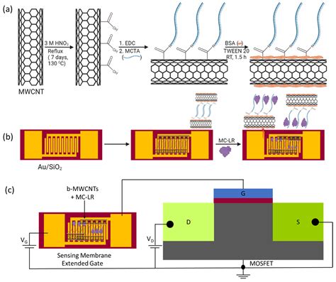 Label Free Extended Gate Field Effect Transistor For Sensing Microcystin Lr In Freshwater Samples