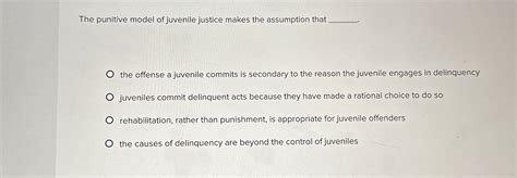 Solved The Punitive Model Of Juvenile Justice Makes The