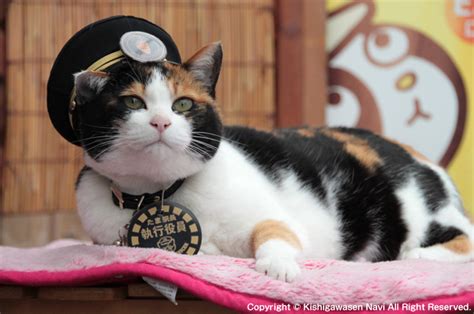 観光コースのご紹介 駅長お勧めコースたま駅長おすすめ貴志川線ナビ