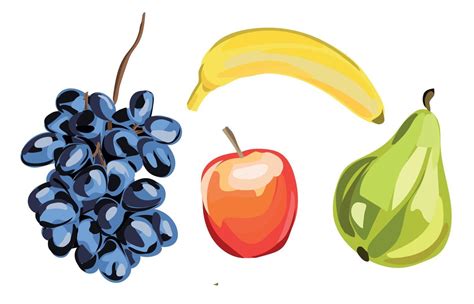 Set With Fresh Fruits Vector Illustration 11529084 Vector Art At Vecteezy