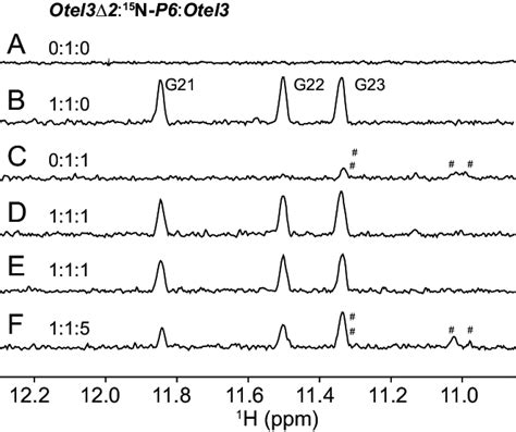Imino Protons In One Dimensional 15 N Edited Spectra Displaying The