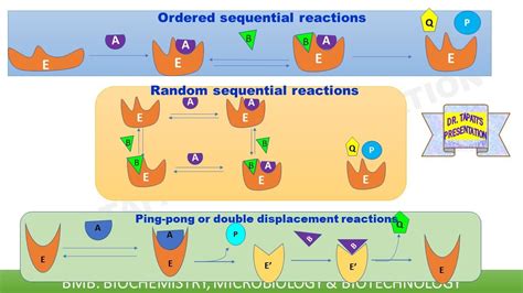 Sequential Displacement Reaction Kinetics Of Rna And Rnadna Hybrid