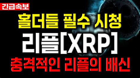 리플 전망 리또속 리플의 배신 Youtube