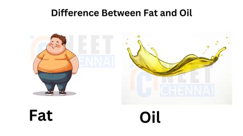 Difference Between Fat And Oil Neet Chennai