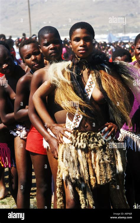 Zulu Reed Dance Ceremonial Participants Natal South Africa Stock