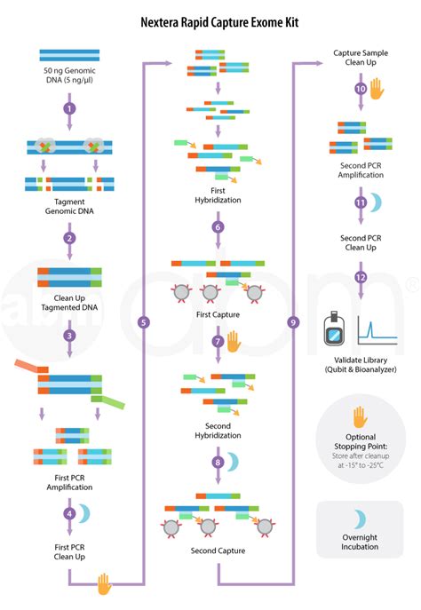 Next Generation Sequencing Ngs Experimental Design Abm Inc