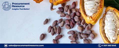 Cocoa Prices Are Rising Globally Due To Unfavourable Weather Conditions