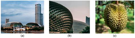 Plants Inspired Biomimetics Architecture In Modern Buildings A Review