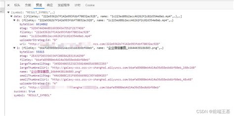 vue浏览或展示支持视频和图片格式 vue3播放avi视频 CSDN博客