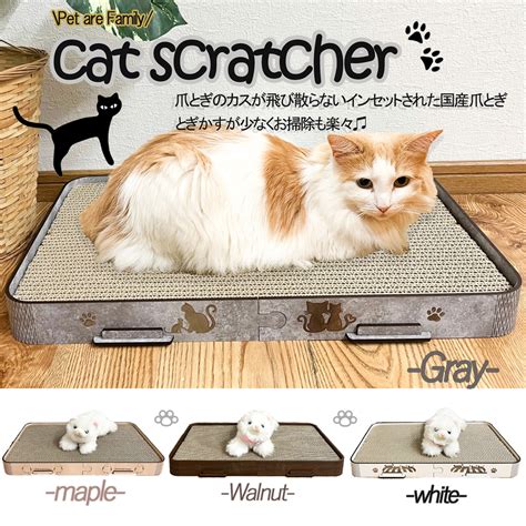 中古雑貨 トランセル 猫用爪とぎ にゃにゃにゃニャオハ 「ポケットモンスター」 ポケモンセンター限定｜コレクション、趣味