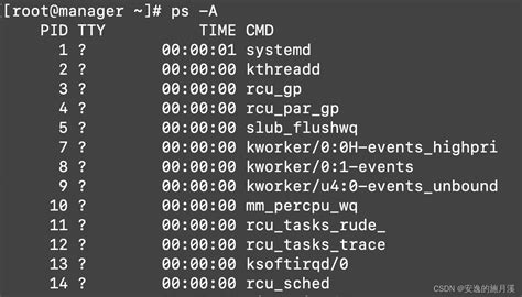 【linux】ps的基本使用linux Ps Csdn博客