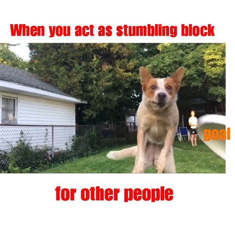 Stumbling Blocks