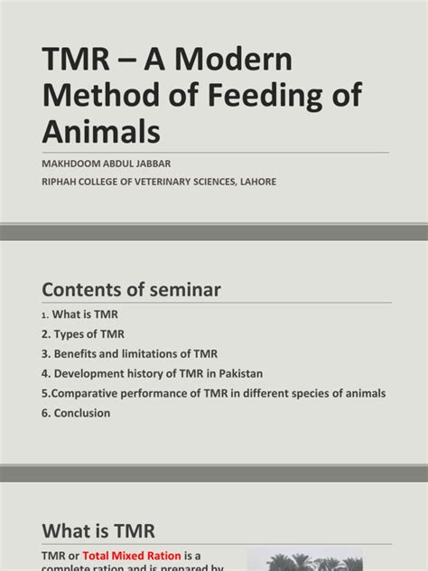 Tmr And Its Use In Dairy And Fattening Pdf Hay Dairy Cattle
