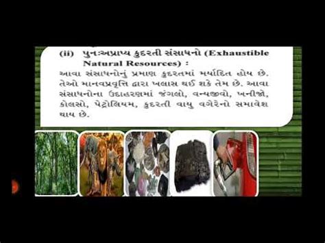 std 8 Science sem 1 પરકરણ 5 કલસ અન પટરલયમ ભગ 1 YouTube