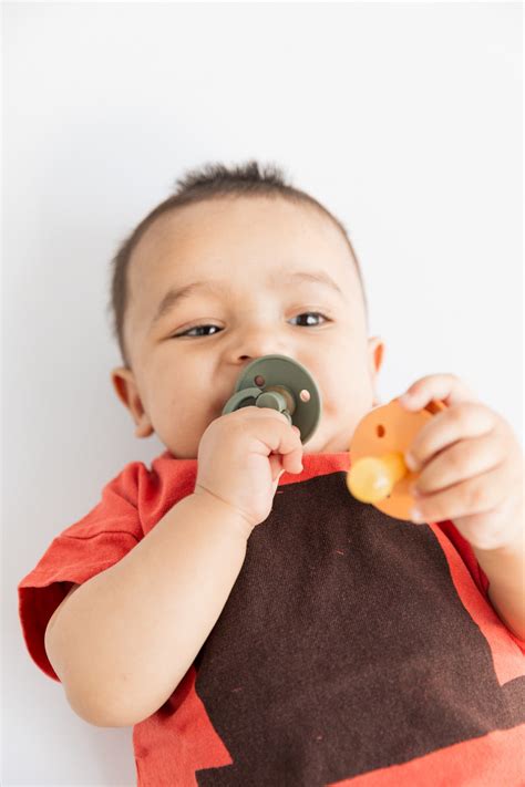 Пустышка латексная BIBS Colour - Pine, 6+ мес. купить Пустышки BIBS ...