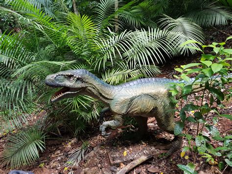 A Couple Of Curious Creatures Part 2 — Sandra Bennett