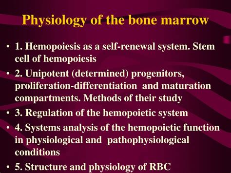 Ppt Comprehensive Understanding Of Bone Marrow Physiology Powerpoint Presentation Id 9219606