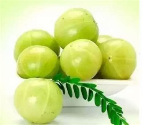 Herbal Hair Oil At Rs 125bottle आंवला केश तेल In Ahmedabad Id
