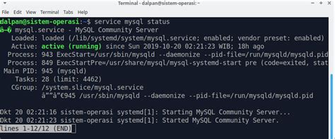 Resolve Opt Lampp Bin Mysql Server Kill No Such Process Tegalsec