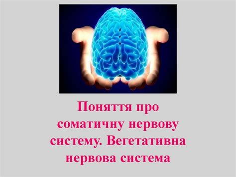 Поняття про соматичну нервову систему Вегетативна нервова система