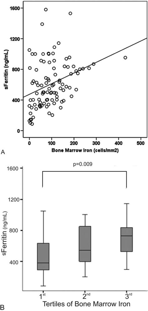 Graph Illustrating The Association Between Bone Marrow Iron And