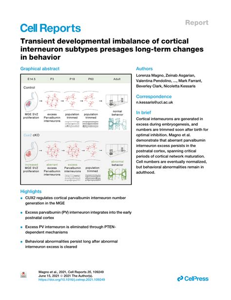 Pdf Transient Developmental Imbalance Of Cortical Interneuron Subtypes Presages Long Term