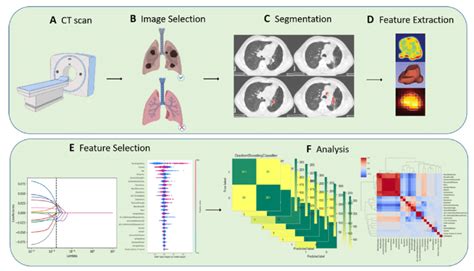 overview of radiomics workflow download scientific diagram