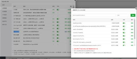 Bt宝塔面板nginx防火墙请求过滤及getpostua过滤设置介绍 虾皮路