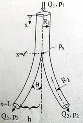 Solved Consider The Case Of Constant Blood Flow In A Chegg