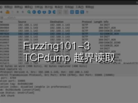 Fuzzing101 3：tcpdump