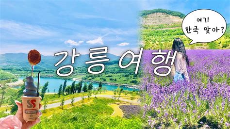 여기 한국 맞아 한국의 스위스 1박2일 강릉여행💜ㅣ라벤더축제ㅣ오션뷰 숙소추천ㅣ중앙시장ㅣ무릉별유천지ㅣ브이로그 닭강정오징어순대