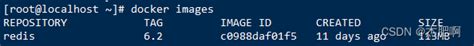 【docker容器】docker安装redis镜像详细步骤 简单易懂，适合新手快速上手 docker redis镜像 csdn博客