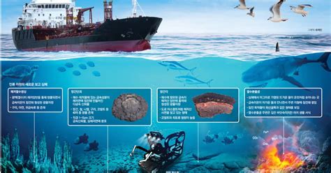 Science 깊은 바닷속 수소 내뿜는 미생물·희토류심해 자원 찾는다