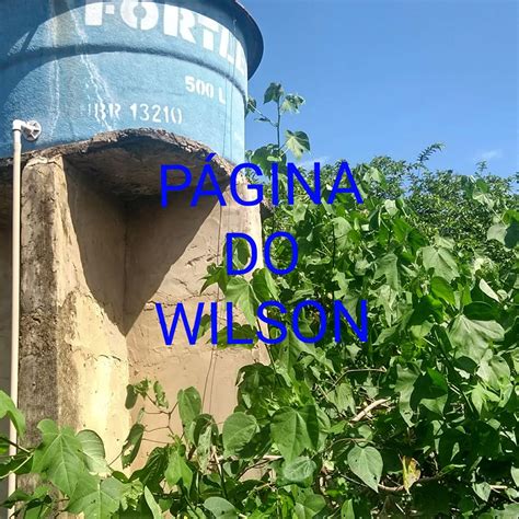 Página Do Wilson