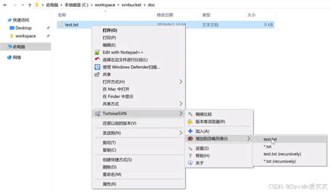 svn使用教程 快速上手 csdn博客