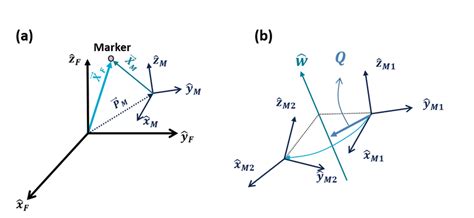 Schematic View To Explain The Transformation And Rotation Of
