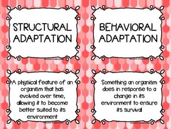 Adaptations Structural Behavioural Card Sort By Education