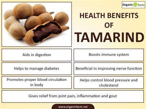 Health Benefits Of Tamarind Mia Liana