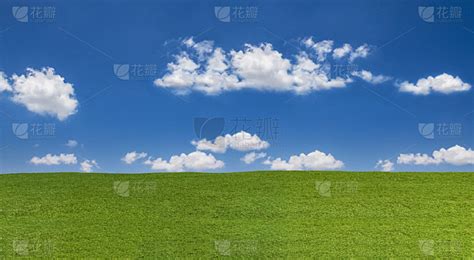 碧绿的夏日景观，碧绿的草地，蔚蓝的天空。