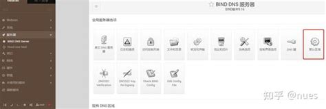 docker搭建dns服务器 知乎