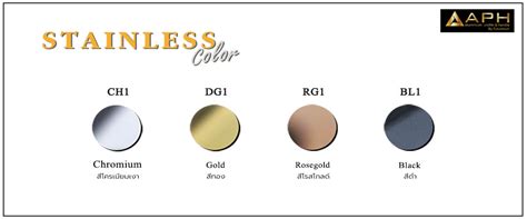 คิ้วสแตนเลส Aphthailand