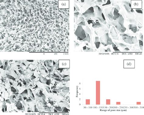 —the Sem Micrographs Of A Porous Structure B Pore Walls C The
