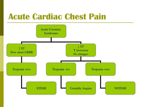 Ppt The Cardiovascular System Powerpoint Presentation Free Download