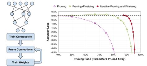Pruning Iridescent的cs笔记本