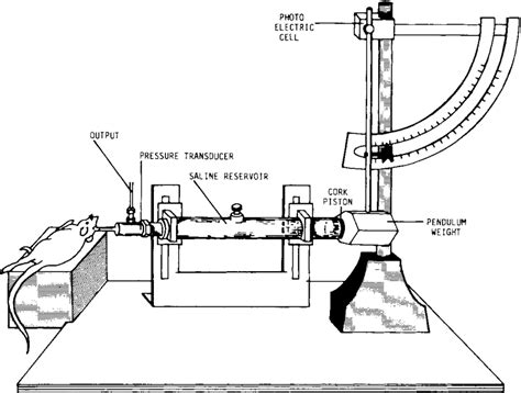 Fluid Percussion Head Injury Device Used In All Studies Download