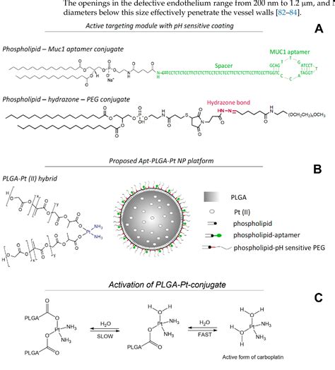 Figure 1 From Ptii Plga Hybrid In A Ph Responsive Nanoparticle System