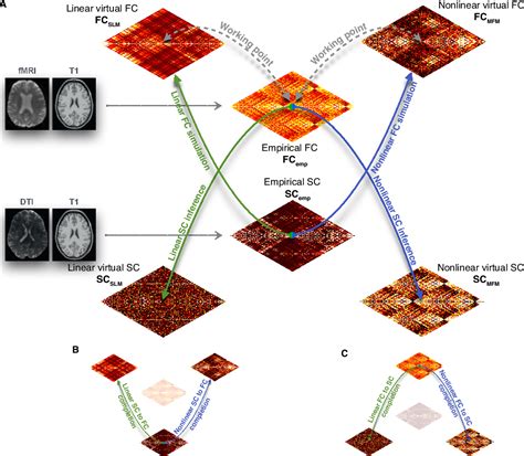 Figure 2 From Virtual Connectomic Datasets In Alzheimers Disease And