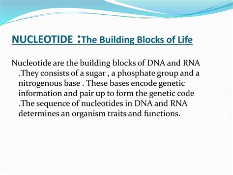 Nucleotides Structure And Functions Pptx