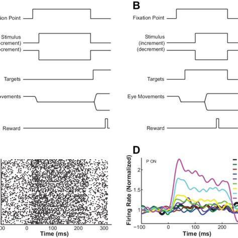 Contrast Detection Task And Lateral Geniculate Nucleus Lgn Cell